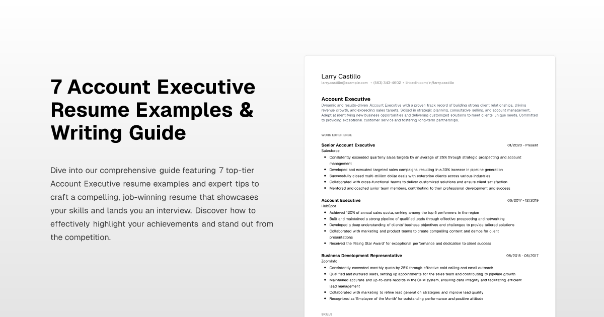 7 Account Executive Resume Examples & Writing Guide