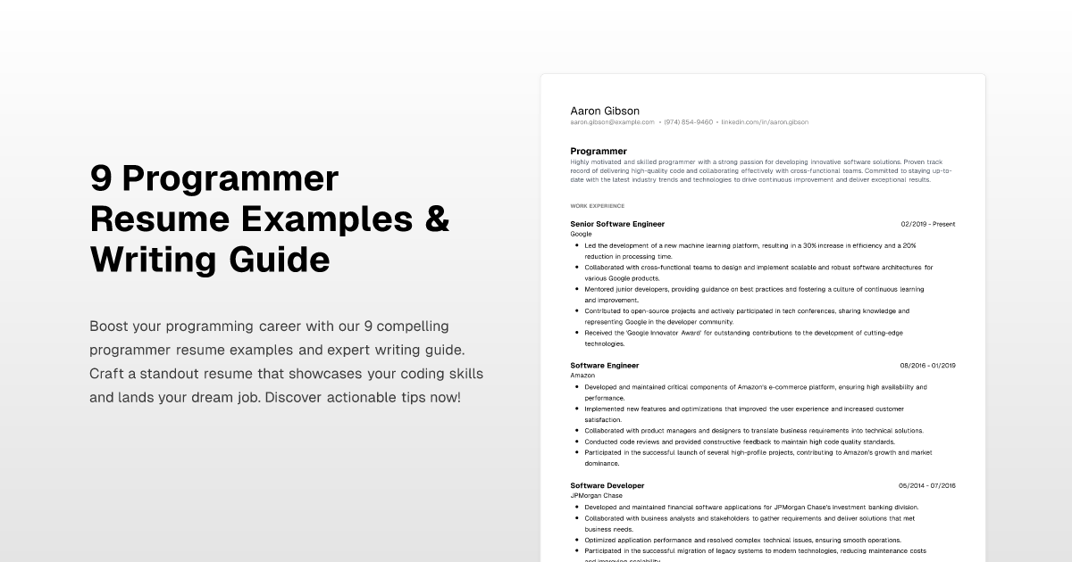 9 Programmer Resume Examples & Writing Guide