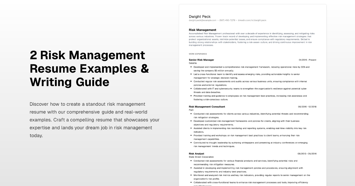 2 Risk Management Resume Examples & Writing Guide