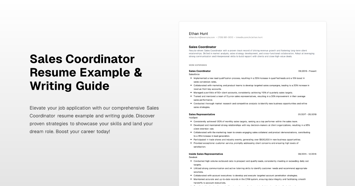 Sales Coordinator Resume Example & Writing Guide